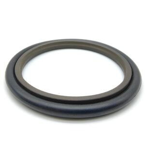 Step Seals for Hydraulic Rod PTFE Compact Buffer Seal GSJ - TYS Seals
